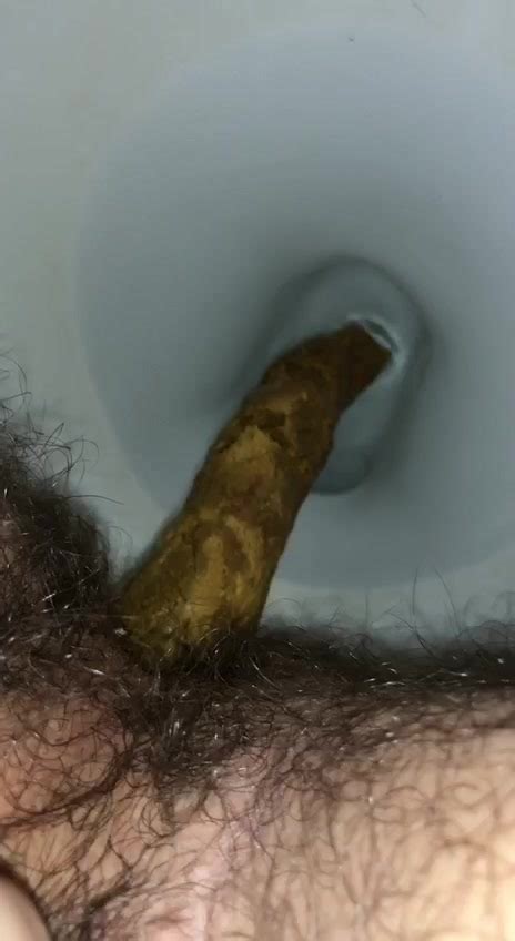 Laying A Long Log Laying A Long Log