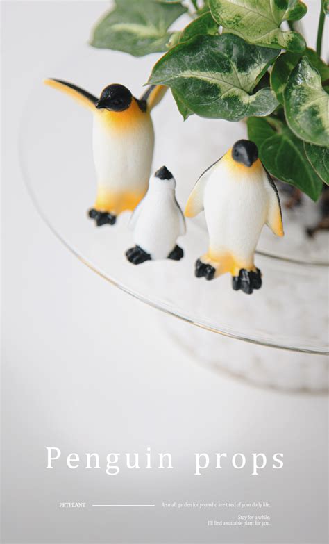 황제펭귄 가족세트 감도 깊은 취향 셀렉트샵 29cm