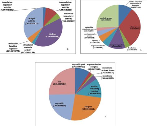 Functional Classification Of The Proteins With Altered Abundance In The