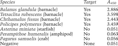 Sandwich Hybridization Specificity Test Via Absorbance Level For