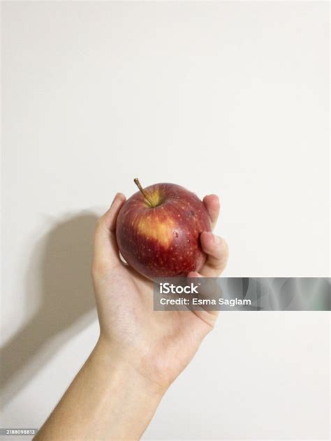 완전히 빨간 사과를 들고 있는 백인 여성의 손 카메라를 향한 사과 줄기 건강한 생활방식에 대한 스톡 사진 및 기타 이미지 건강한 생활방식 건강한 식생활 과일 Istock