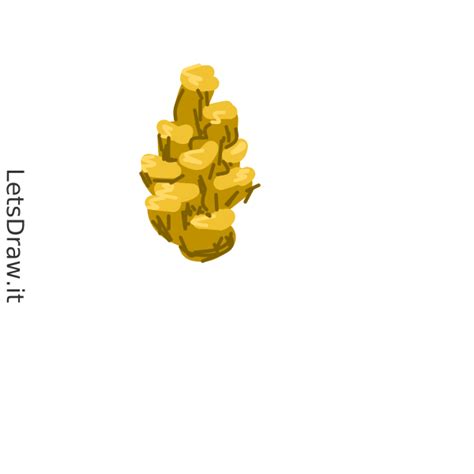 How To Draw Pine Cone K Arriobq Png LetsDrawIt