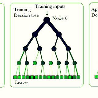Training And Applying Decision Trees Download Scientific Diagram