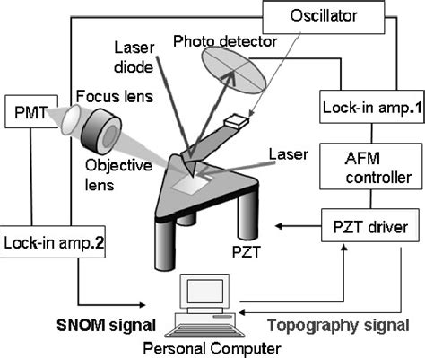 Figure 1 From Fabrication Of Metallic Nanoarrays Using Dna Templates