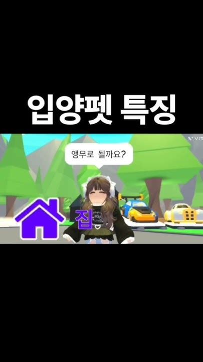 입양하세요 입양펫 특징 Youtube