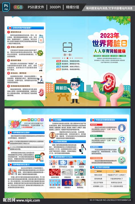 世界肾脏日三折页设计图展板模板广告设计设计图库昵图网