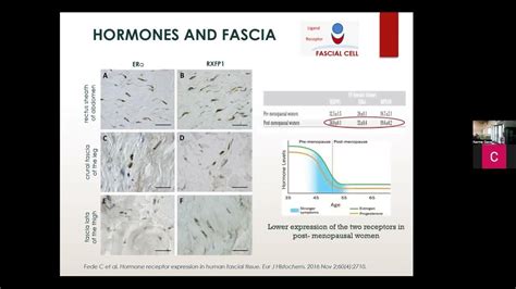 Caterina Fede How Sex Hormones Can Affect The Fasciae Youtube