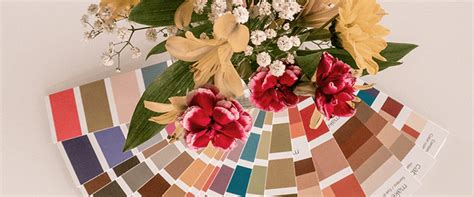 Cómo Por Qué Y Cuándo Utilizar La Paleta De Colores Pasteles Para Tu