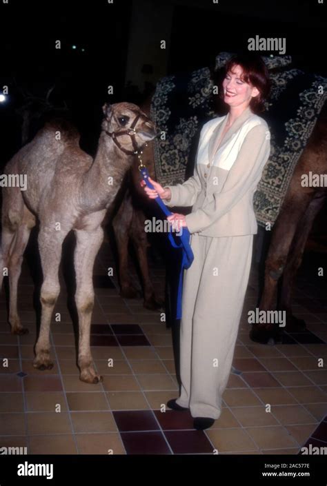 Leslie Ann Warren Actress Hi Res Stock Photography And Images Alamy