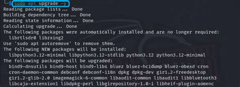 How To Update Kali Linux LinuxWays