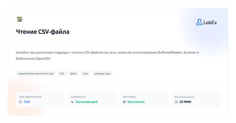 Как прочитать Csv файл на Java Labex