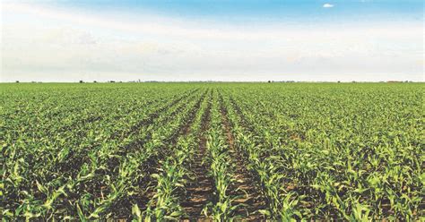 How To Estimate Crop Production Costs