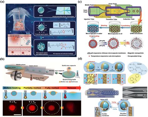 Revolutionizing Targeting Precision Microfluidics Enabled Smart