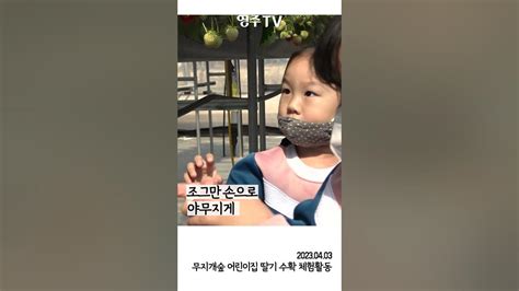 무지개숲 어린이집 딸기 수확 체험현장 Youtube