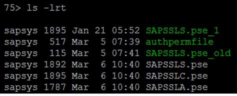 Step To Generate Sapsslspse Certificate File And Sap Community