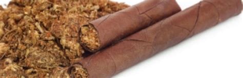 Rolling Papers Get Smart About Drugs
