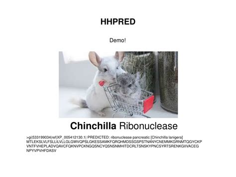 Ppt Computational Modeling For Protein Structure Prediction Powerpoint Presentation Id 8872650