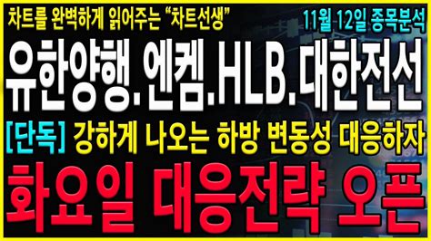 Hlb 유한양행 엔켐 대한전선 주가 전망 긴급 강력한 조정흐름 지금은 반드시 이 방법으로 대응하셔야 합니다 엔켐주가 금양 유한양행 Youtube