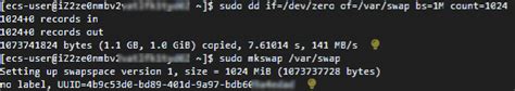 How Do I Configure A Swap Partition On A Linux Instance Elastic