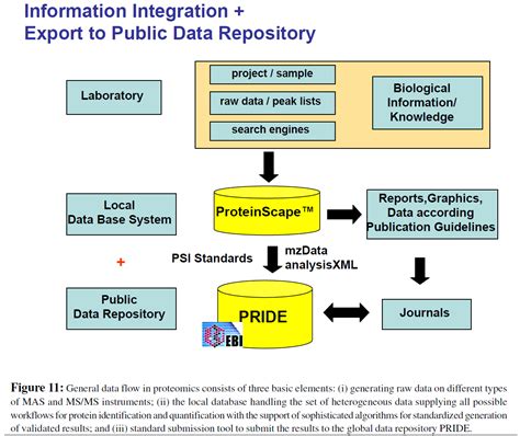 Proteomics Bioinformatics Database Handling Quantification