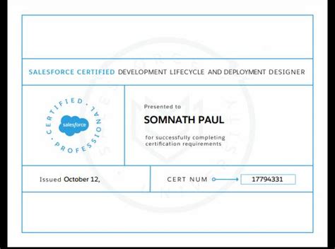 Somnath Paul On Linkedin Starting My Architect Journey With Development Lifecycle Management