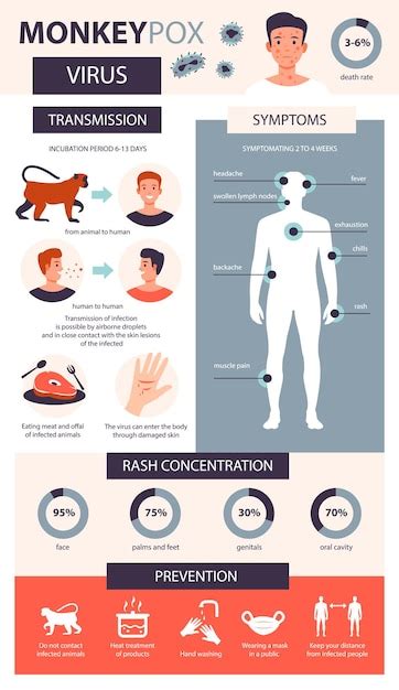 Apenpokken Infographic Infectiesymptomen Preventie Van De Ziekte