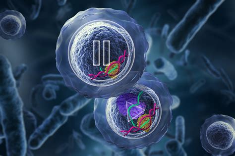 Send Seq Offers A Novel Paradigm For Understanding Bacterial Transcription Rna Seq Blog