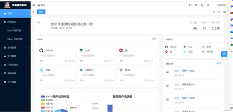 Ruoyi Vue Pro框架学习启动教程ruoyi Pro Csdn博客