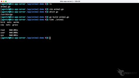 カスタム Ylang アナライザーを作成して Go プログラムを動的にトレースするOpenResty XRay を使用 OpenResty Official Blog