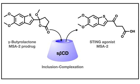 γ‐butyrolactone Derivatives Of Msa‐2 Are Sting Prodrugs Schleyer
