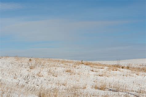 마른 풀과 눈이있는 언덕이 많은 지역 겨울 자연 풍경 배경 겨울에 대한 스톡 사진 및 기타 이미지 겨울 나무 눈 냉동상태의 물 Istock