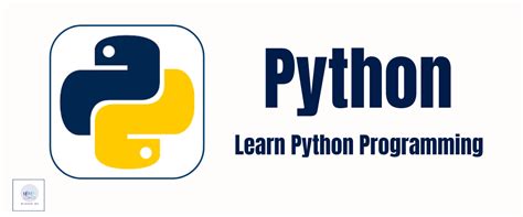 Learn Python Programming Winner We