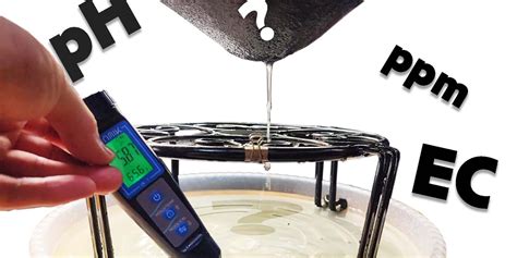 The Best Ranges For Ph Ppm And Ec And How To Measure Runoff
