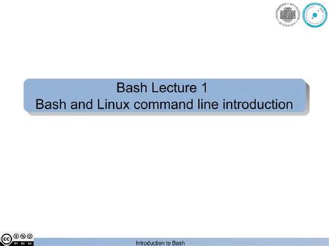 bash 1 2021 command line introduction pdf