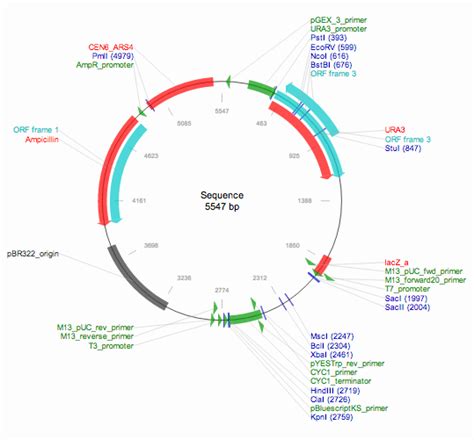 Plasmids 101 Yeast Vectors