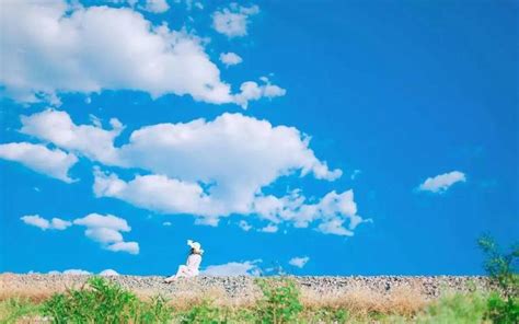 《献给阿尔吉侬的花束》打卡 知乎