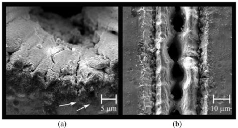 Sem Micrographs Of A Microcracks Extending Into The Bulk Material At Download Scientific