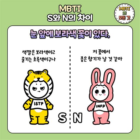 Mbti의 모든것 Mbti S와n의 차이 👀 과몰입은 금물 재미로만 봐주세요🤍 🌈all Of