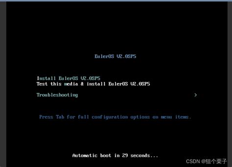 Euleros欧拉操作系统安装以及使用配置 Csdn博客