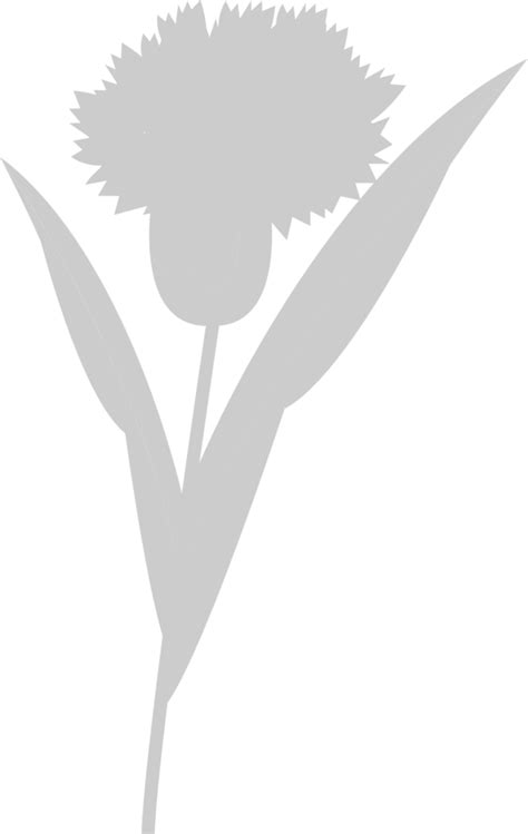 Flor 36630396 Vector En Vecteezy