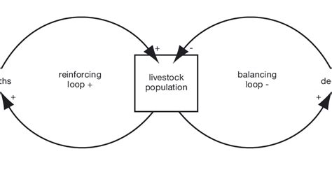 Example Of A Causal Loop Diagram CLD Showing The Positive Births Download Scientific