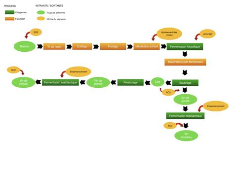 Vinification Les Différentes étapes Mises En Oeuvre