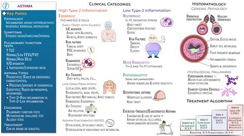 Clinical Pathology Asthma Ditki Medical And Biological Sciences