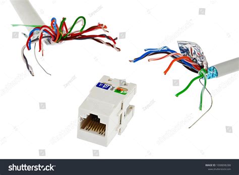 White Plastic Network Rj Utp Female Stock Photo Shutterstock