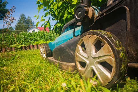 현대 정원이나 뒤뜰의 푸른 잔디에 잔디 발동기 잔디밭을 자르는 기계 원예 관리 도구 및 장비 잔디 다듬기 과정 0명에 대한 스톡 사진 및 기타 이미지 Istock