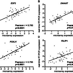Validation Of Microarray Expression Data Using Quantitative Real Time