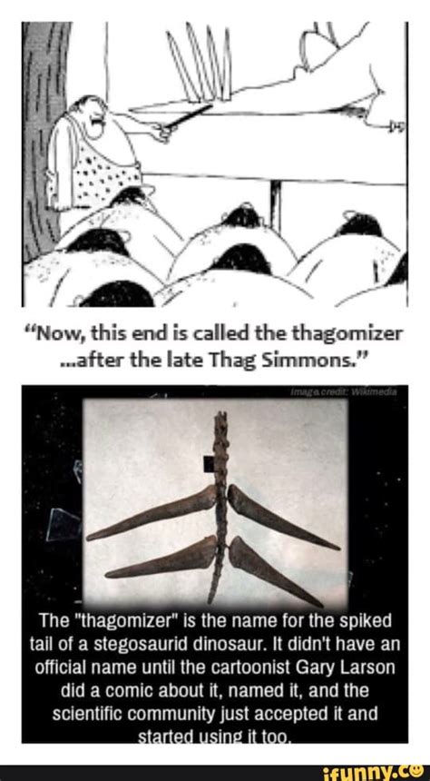 Now This End Is Called The Thagomizer After The Late Thag Simmons