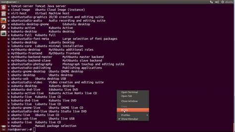 tasksel easily and quickly install group softwares on linux youtube