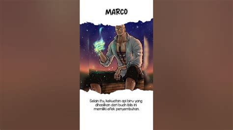 Marco Onepiece Anime Edwardnewgate Shirohige Youtube