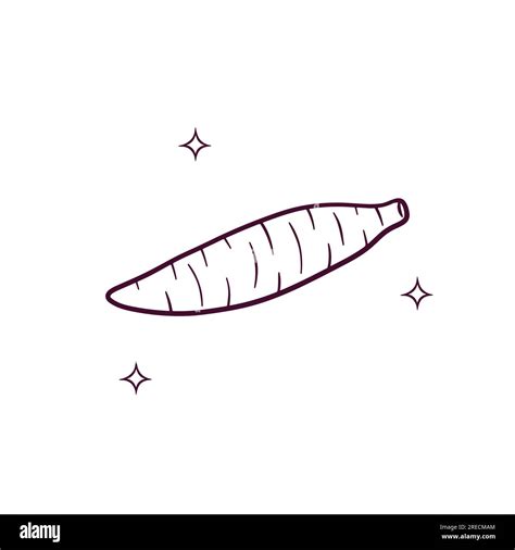 Hand Drawn Cassava Doodle Vector Sketch Illustration Stock Vector